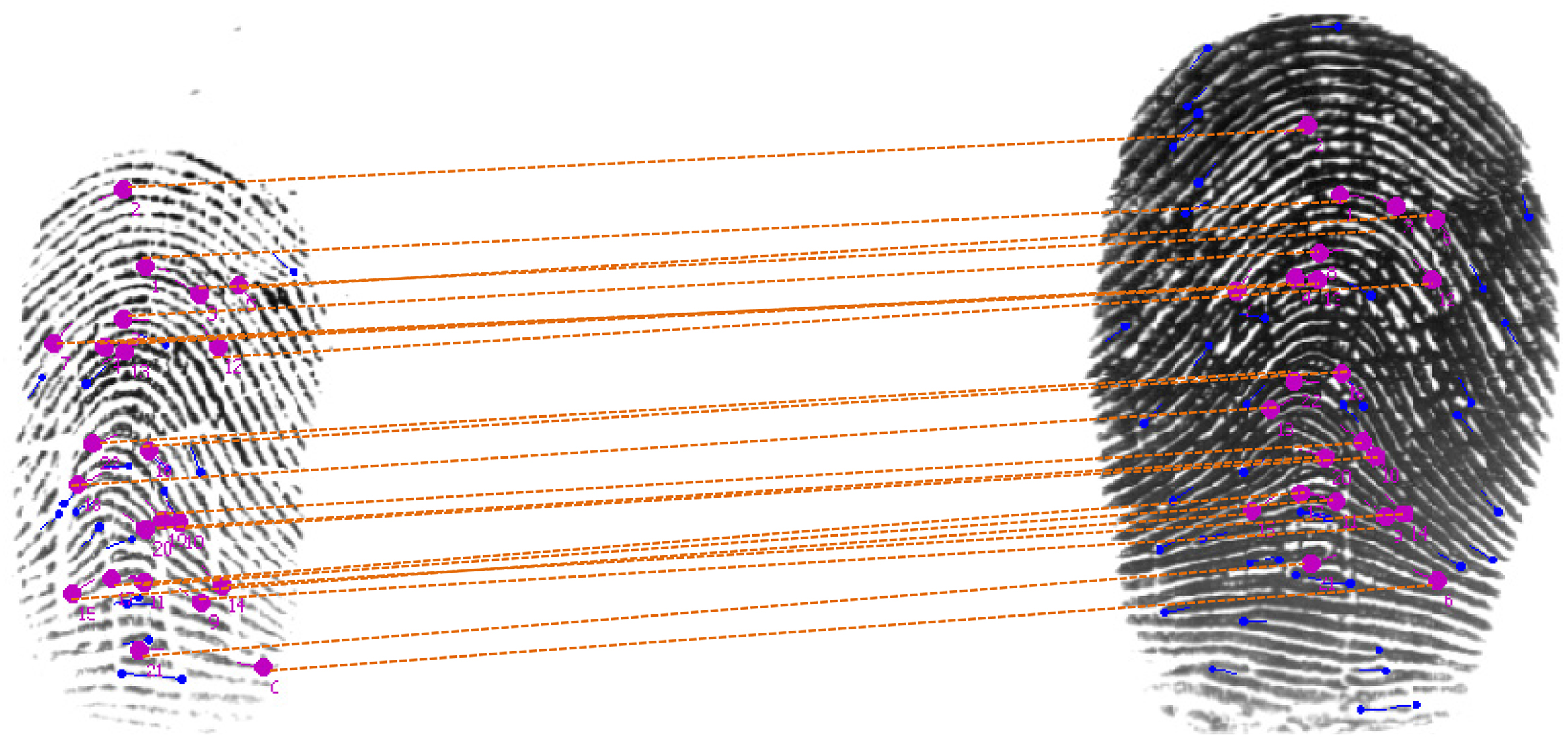 ARCH 789: Forensic Architecture « Welcome to Agincourt, Iowa